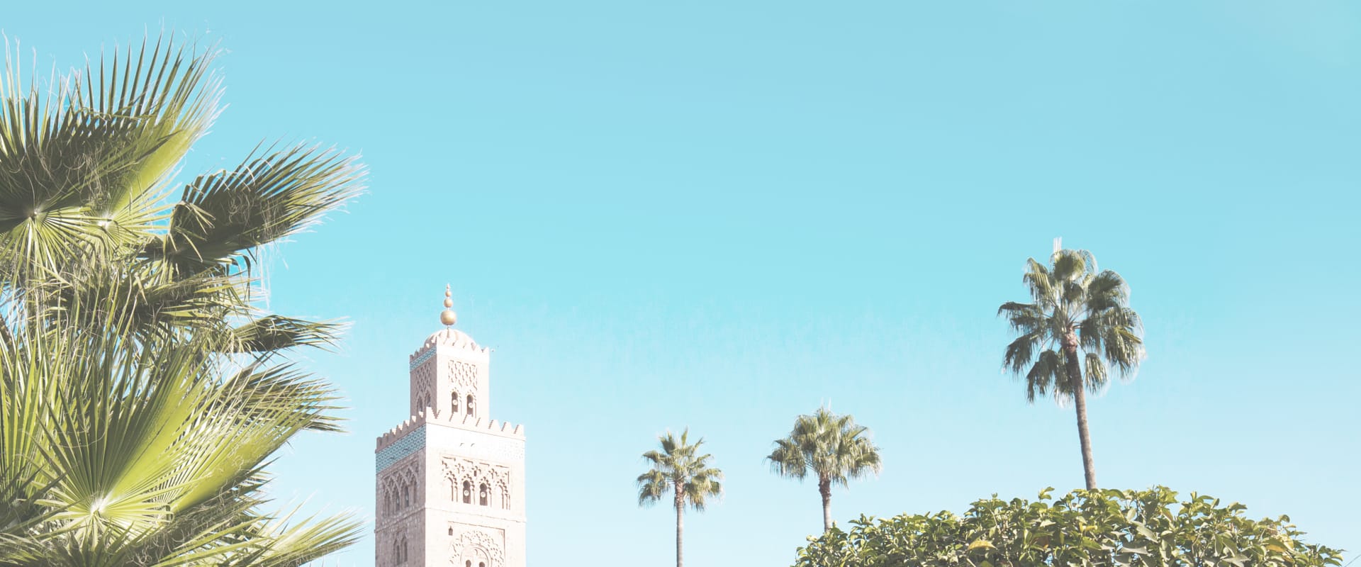 Marrakesh, Morocco - 2018-19 ABB Formula E Marrakesh E-Prix
