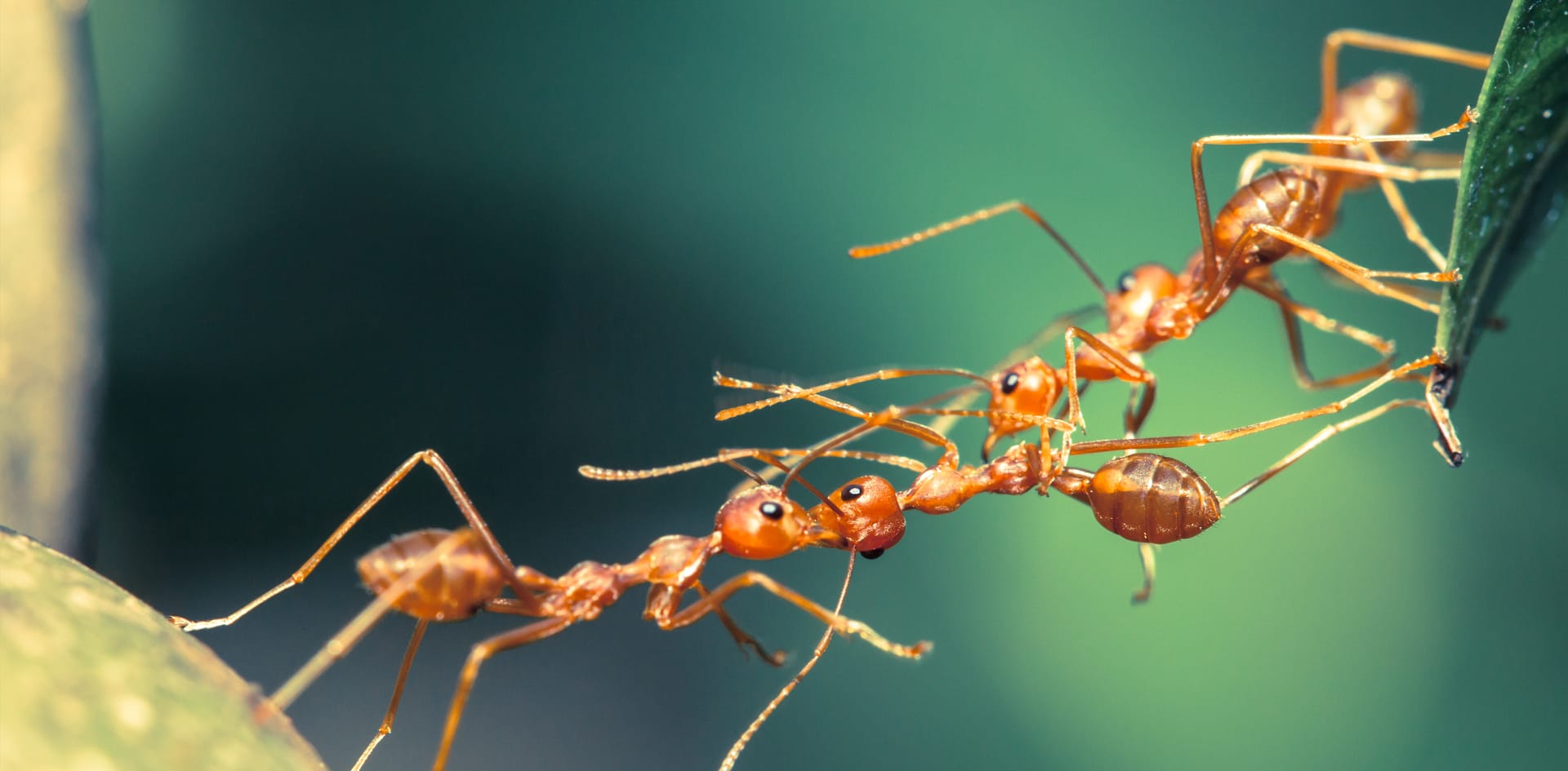 Adaptive Execution | Energy Industries | ABB